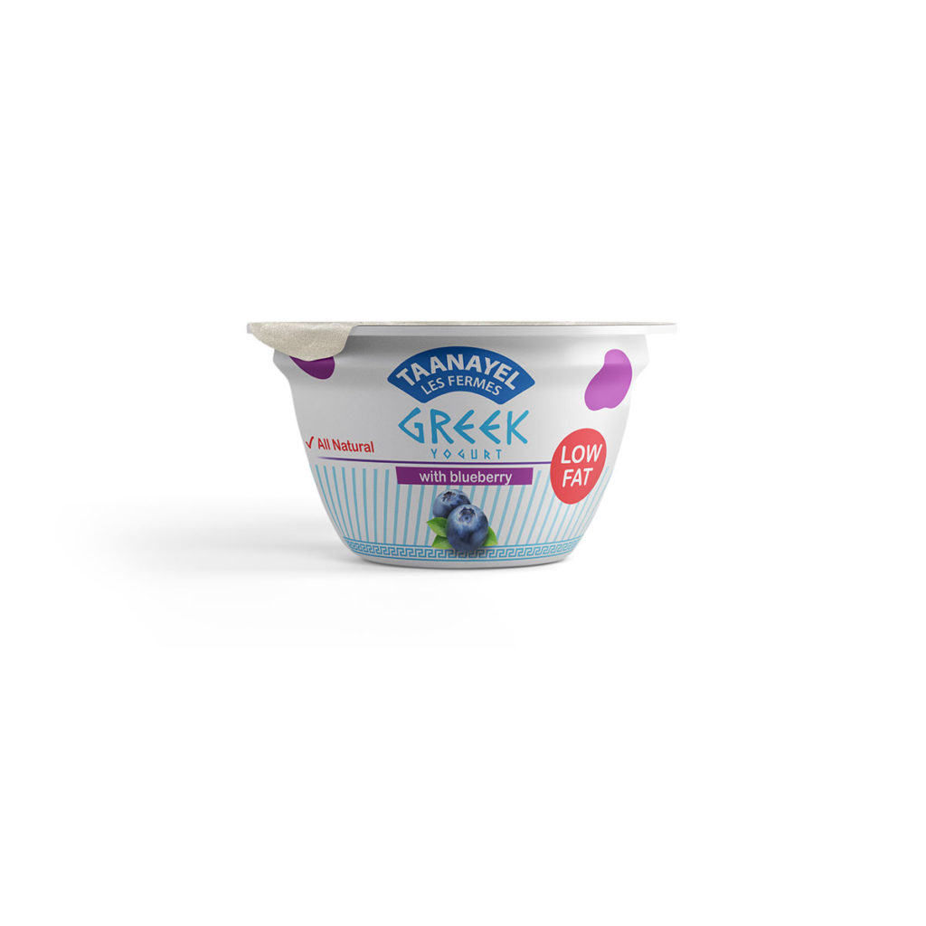 Blueberry Greek Yogurt – Taanayel Les Fermes
